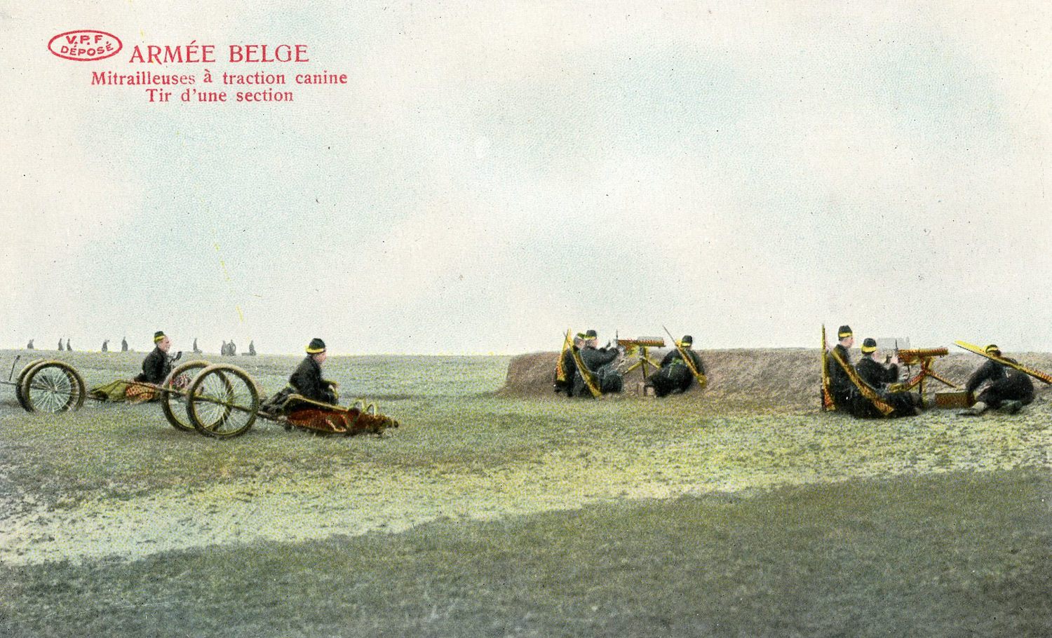 Armée Belge Préaux Frères 3569 – Armée Belge Belgisch Leger