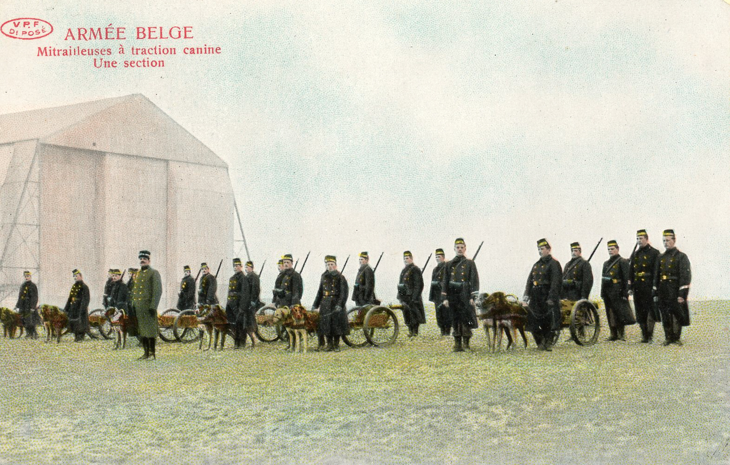 Armée Belge Préaux Frères 3570 – Armée Belge Belgisch Leger